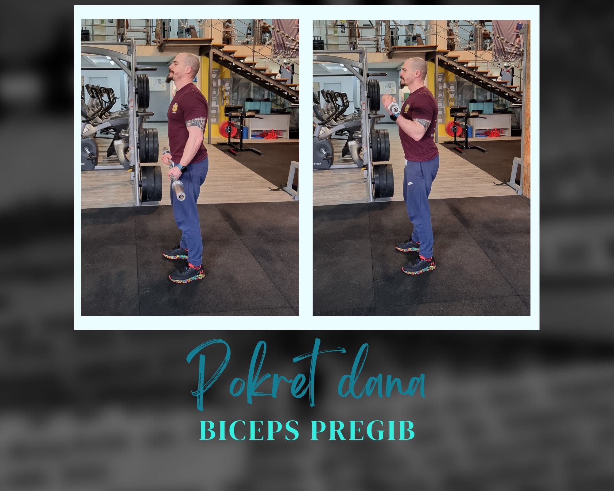 Biceps pregib - Fitness Centar Active